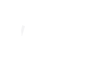 Our Products – Acai Junky